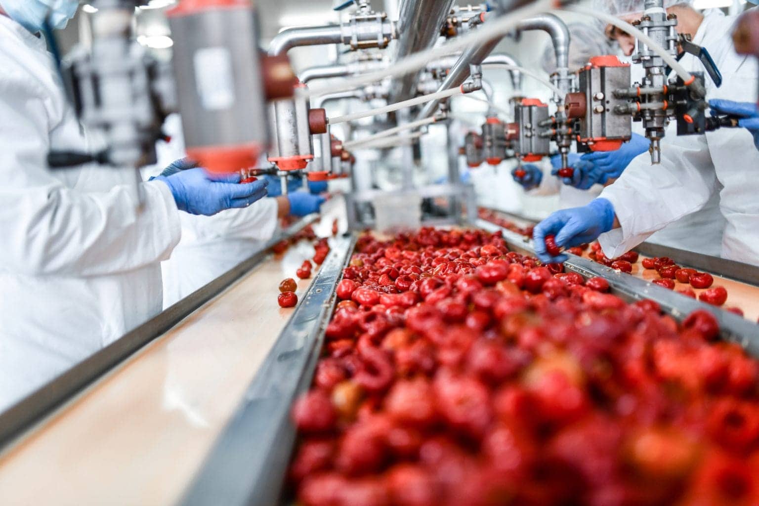 Food Processing - SG Systems Global